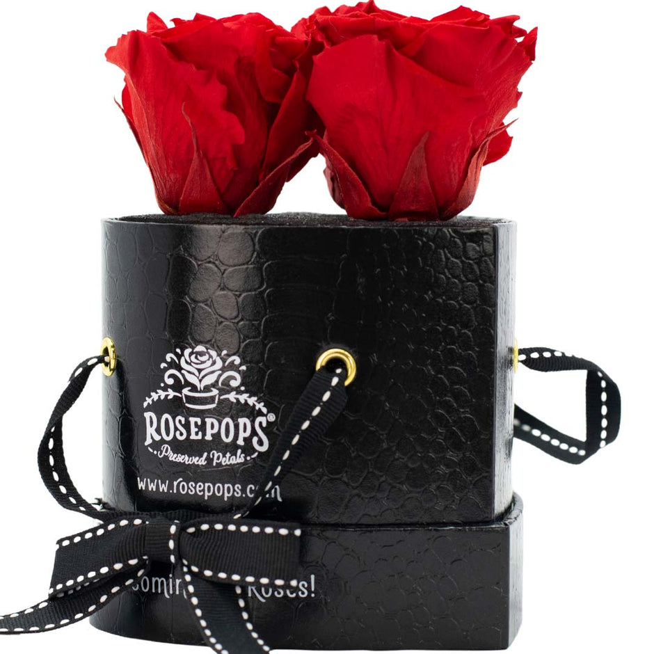 Rosepops™ | Preserved Roses that POP and just won't stop!