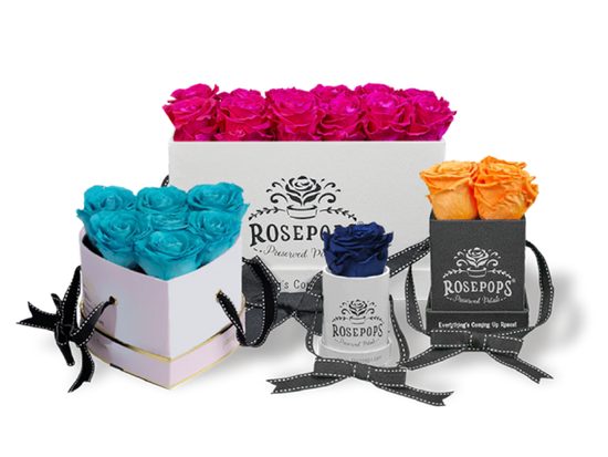 Rosepops™ | Preserved Roses that POP and just won't stop!