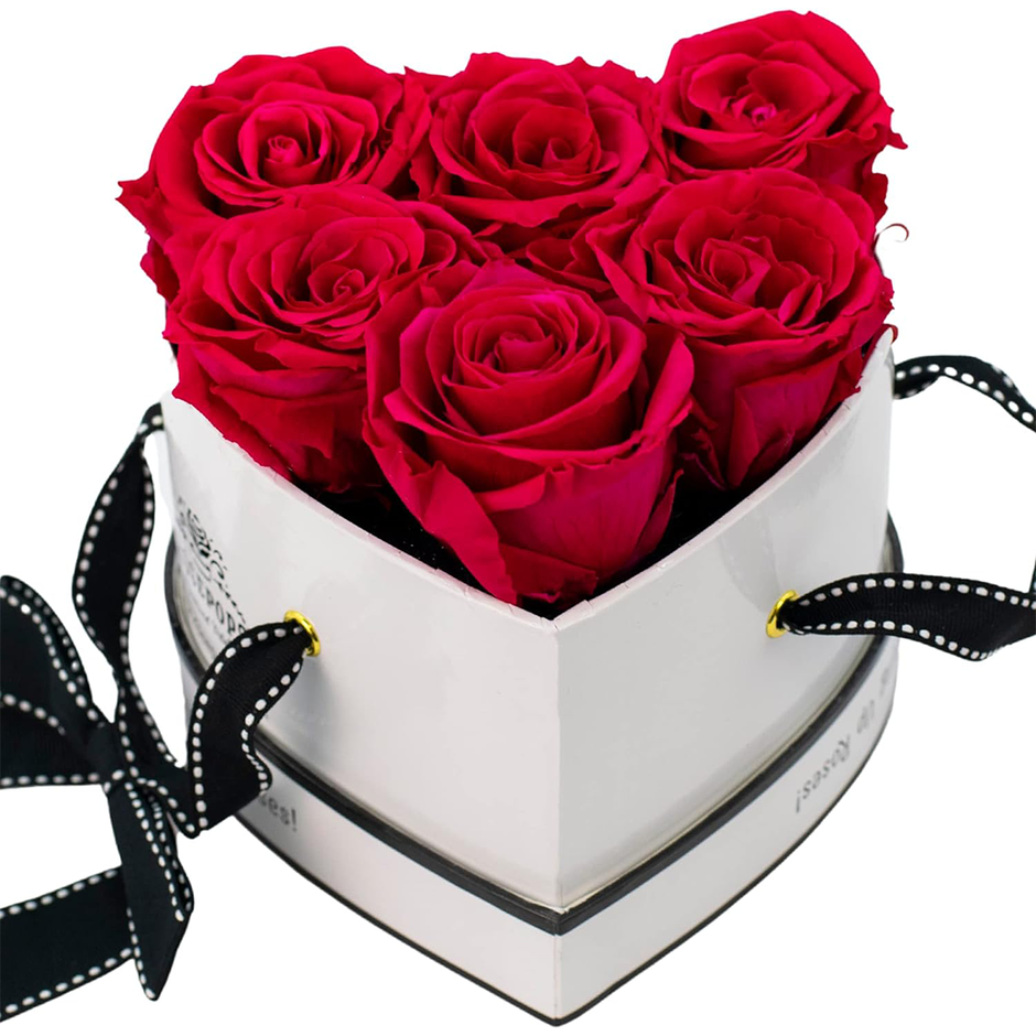 Rosepops™ | Preserved Roses that POP and just won't stop!